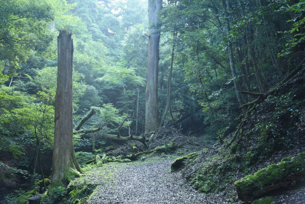 Things to do in Nara, Japan | 5 Recommendations | KANSAI NARA Treasure ...