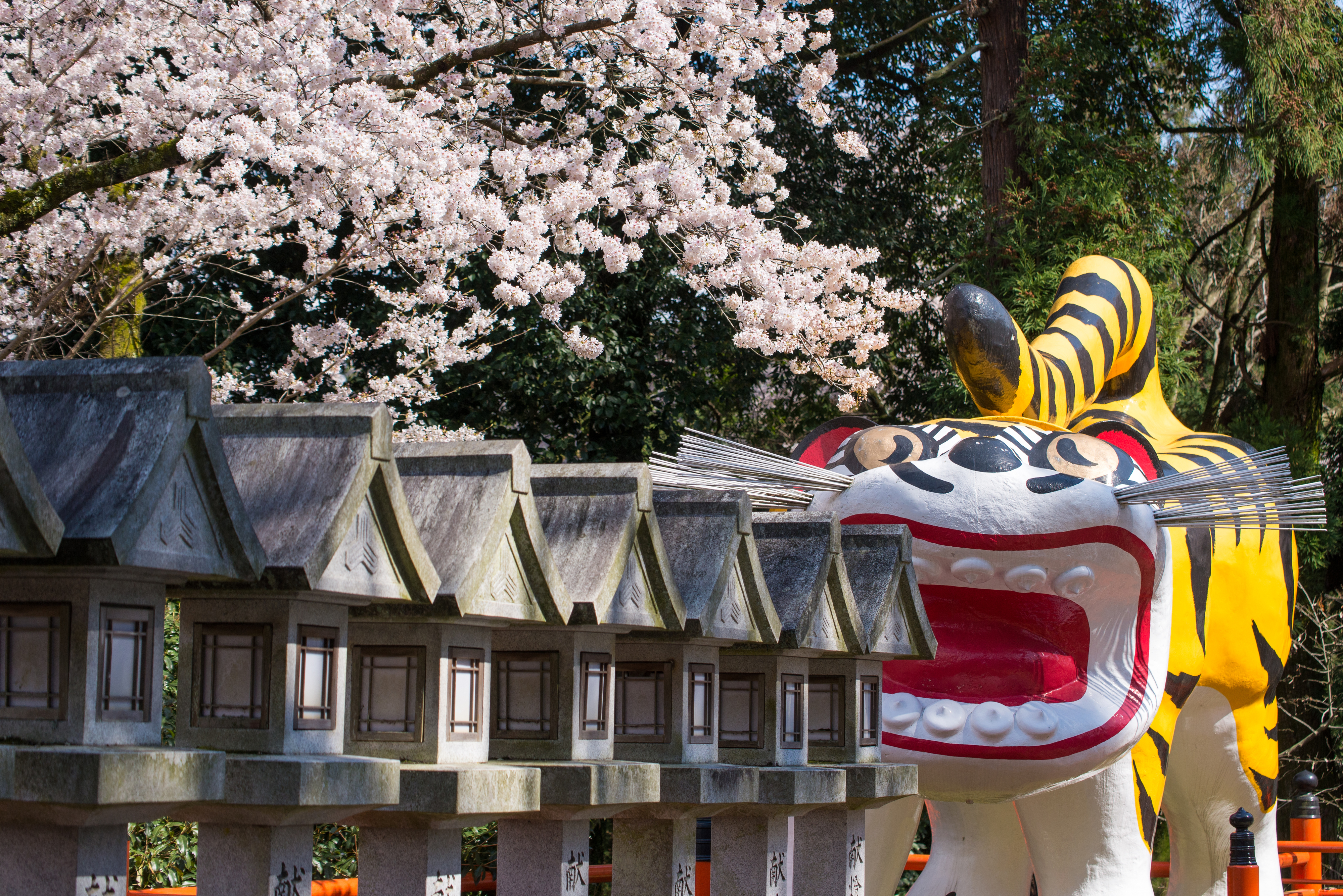 Mt. Shigi Shukubo (Temple Lodgings) Experience | KANSAI NARA Treasure ...
