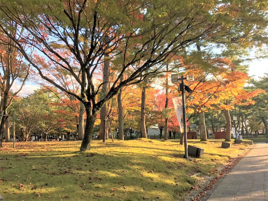 Recommendations for Autumn in Nara City | KANSAI NARA Treasure Travel ...