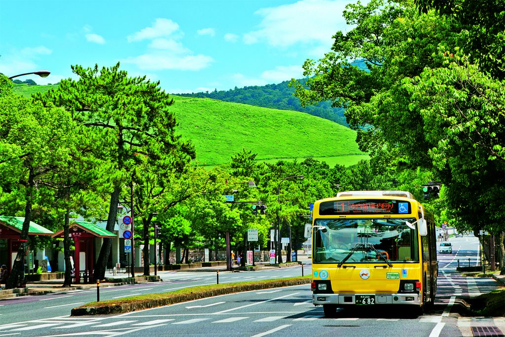 Recommended Way to Go Sightseeing in Nara City on a Bus | KANSAI NARA ...