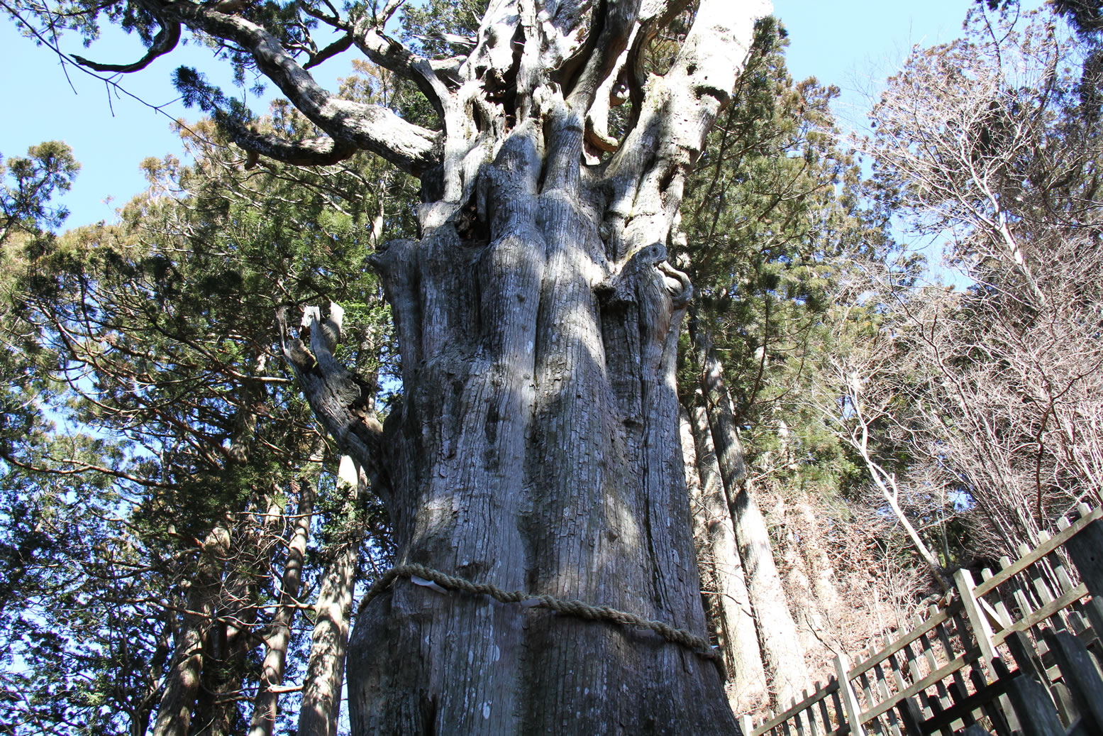The Shrine Where the Gods Dwell – Tamaki-jinja Shrine – | KANSAI NARA ...