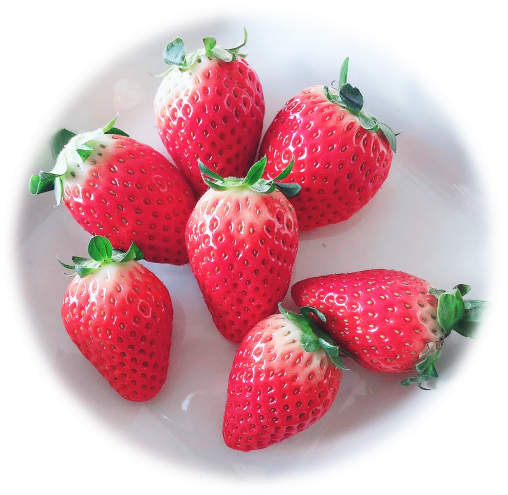 Tamahime, Nara's Strawberry Debut! | KANSAI NARA Treasure Travel (Nara ...