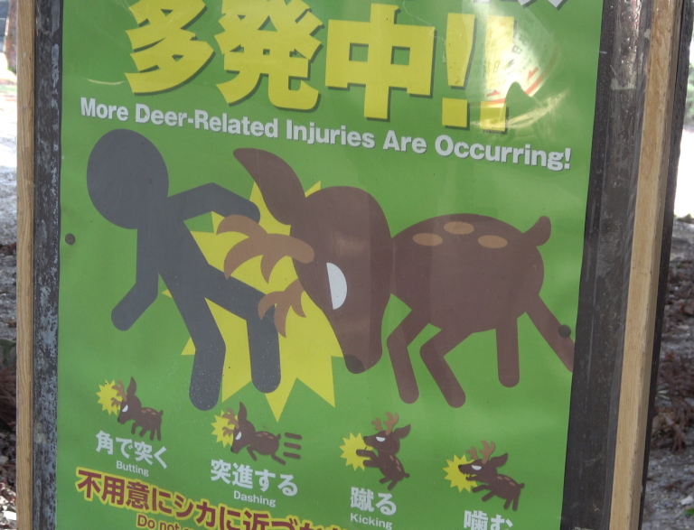 About the Sacred Deer of Nara Park | KANSAI NARA Treasure Travel (Nara ...