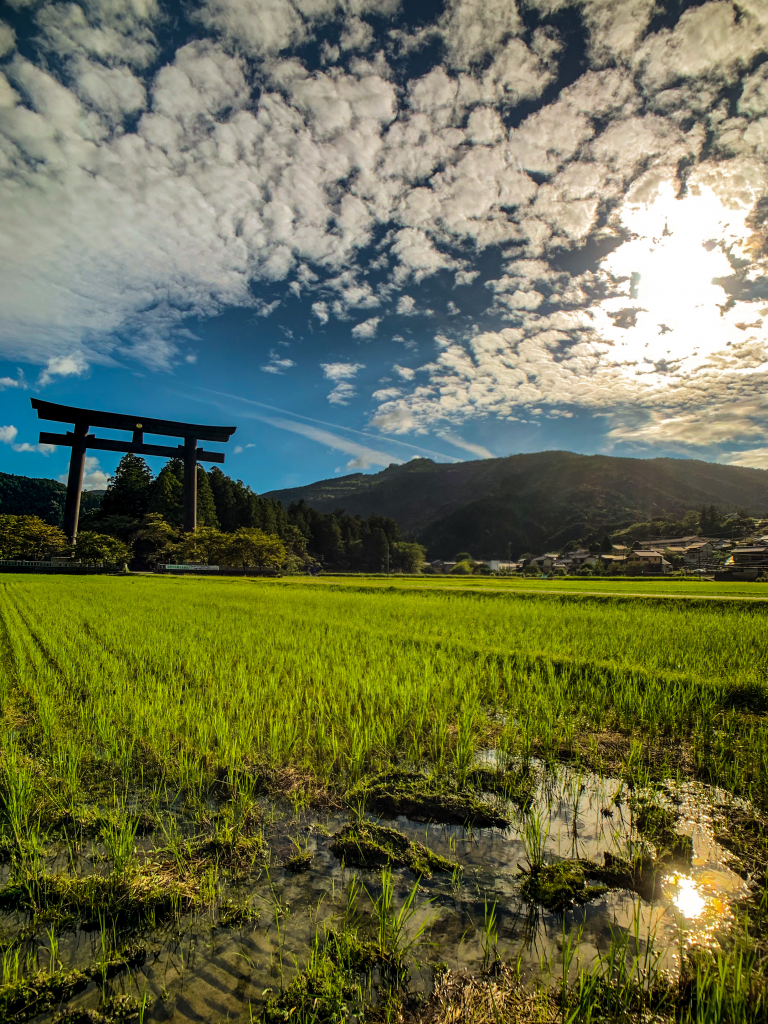 The Kii Peninsula -A sacred land of prayer- | KANSAI NARA Treasure ...