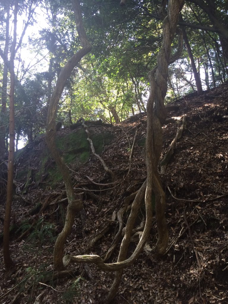 Exploring the Stone Buddhas of the Kasuga Primeval Forest | KANSAI NARA ...