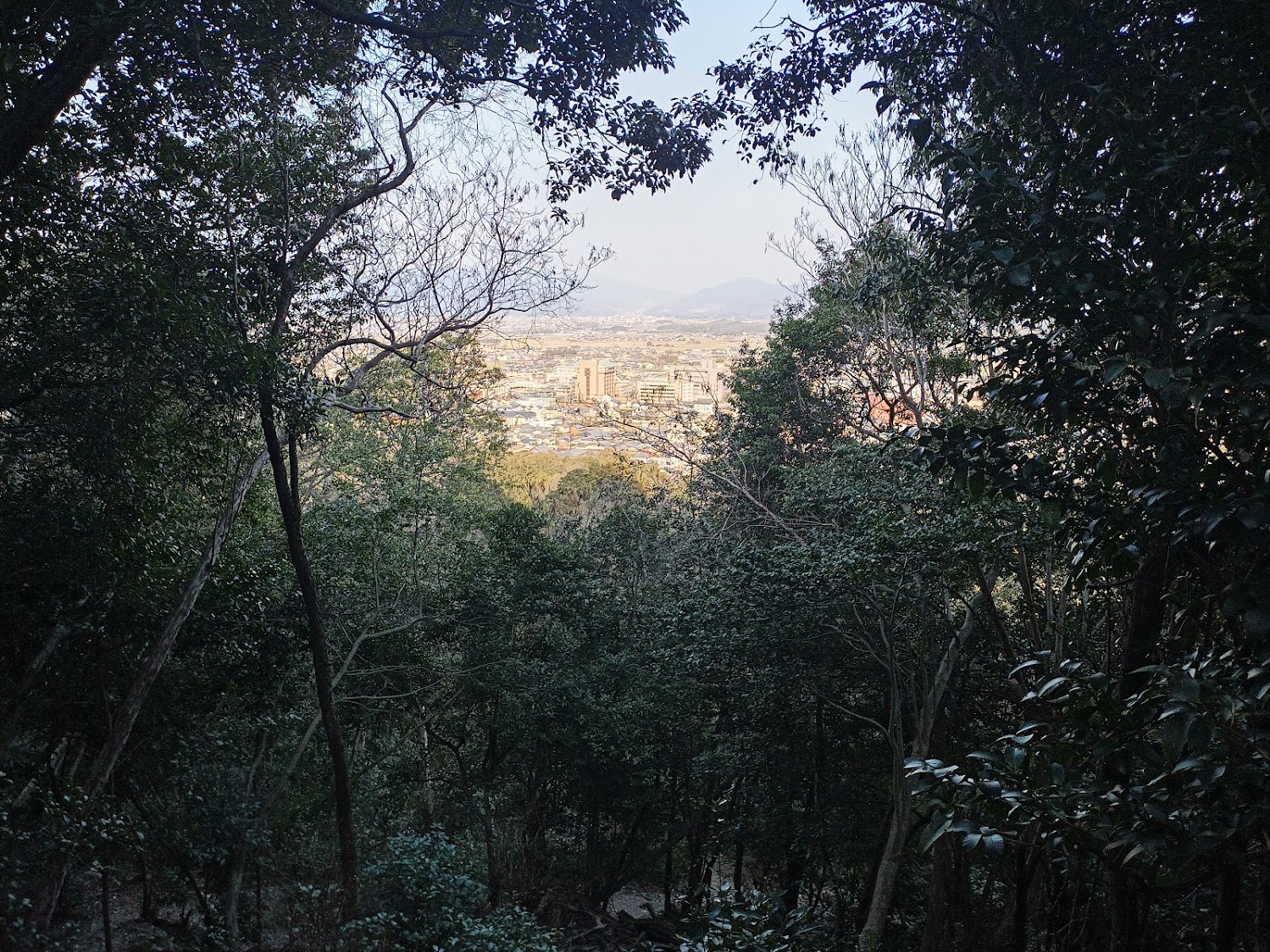 Explore Kashihara City's Very Own Imperial Shrine | KANSAI NARA ...