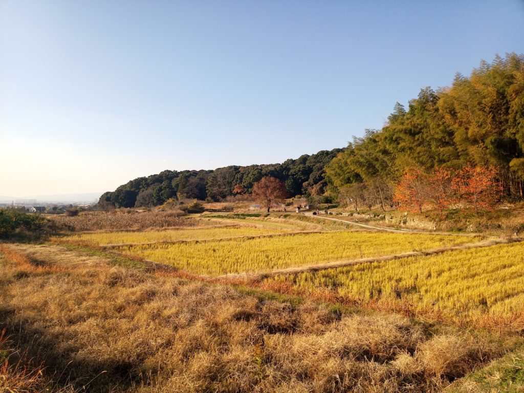 Cold Weather Exploration of Nara's Countryside | KANSAI NARA Treasure ...
