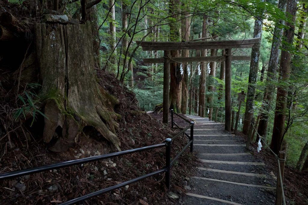 Japan's oldest shrine – Tamaki Shrine – which can only be reached by ...